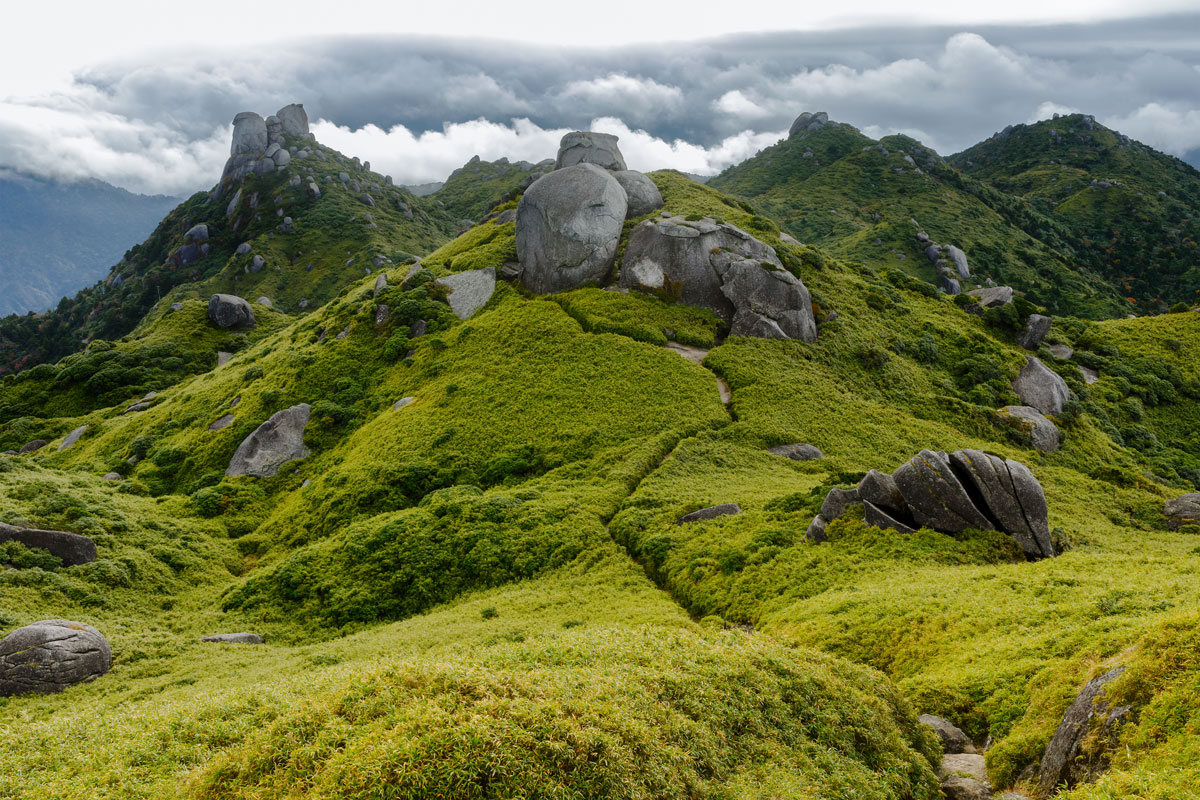 Yuuki Maeda photographer